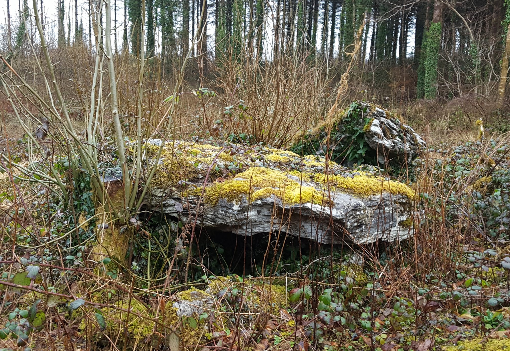 The places marking the Pursuit of Diarmuid and Grainne - Silver Branch ...