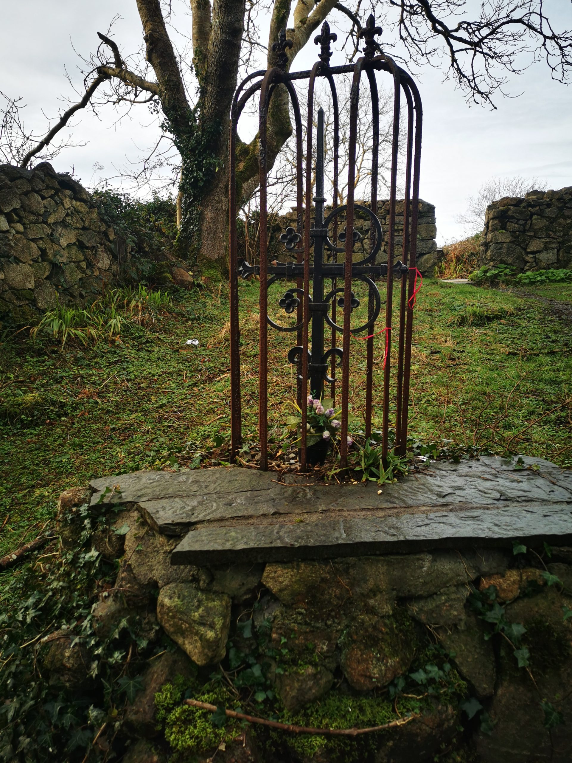 Saint Enda of Aran - Silver Branch Heritage