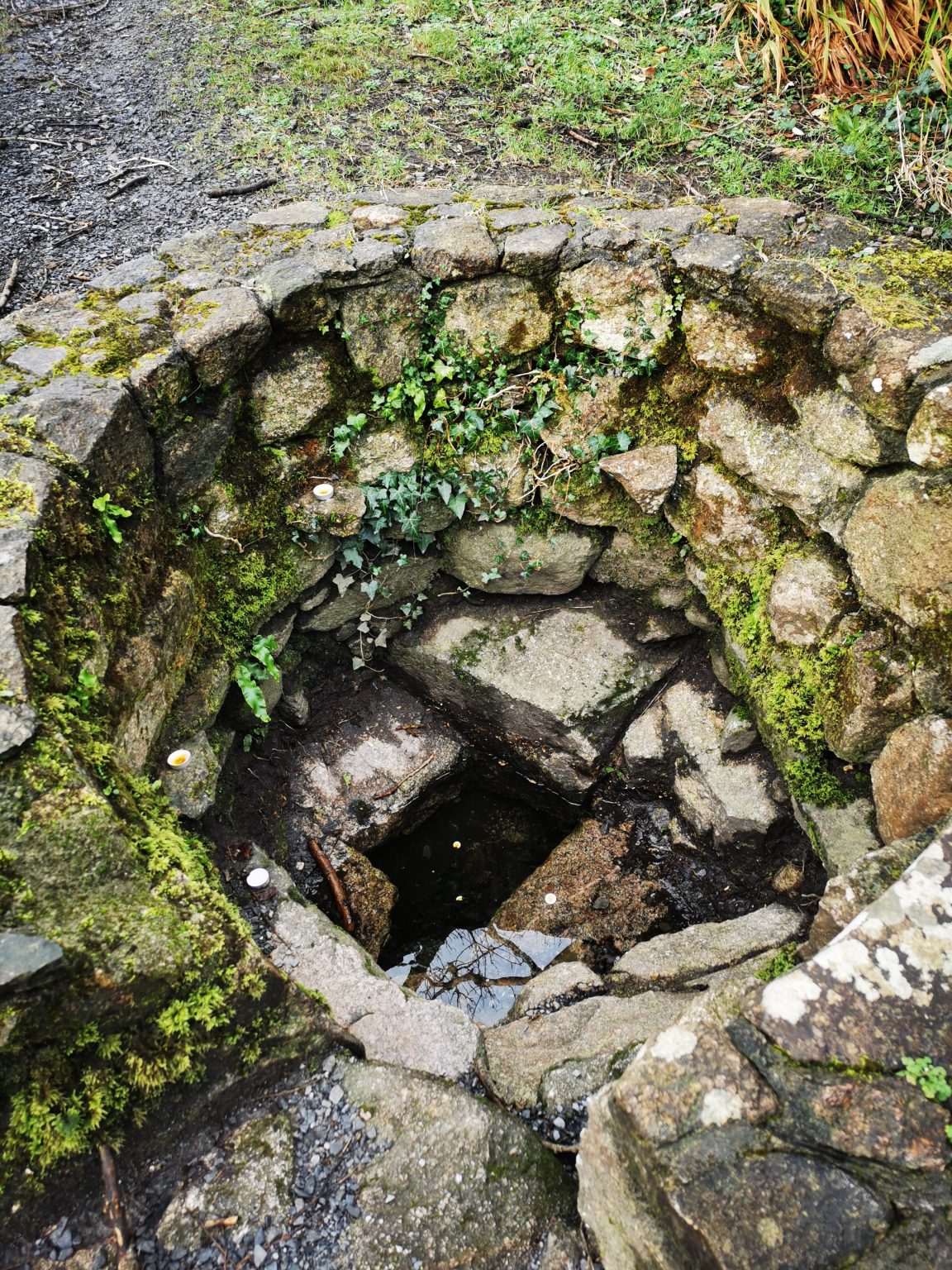 Saint Enda of Aran - Silver Branch Heritage